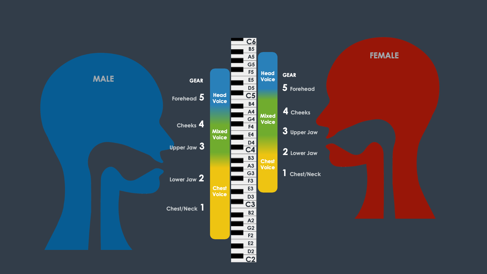 Improve Your Voice with Structured Syllabus - EXPRESSWAY®